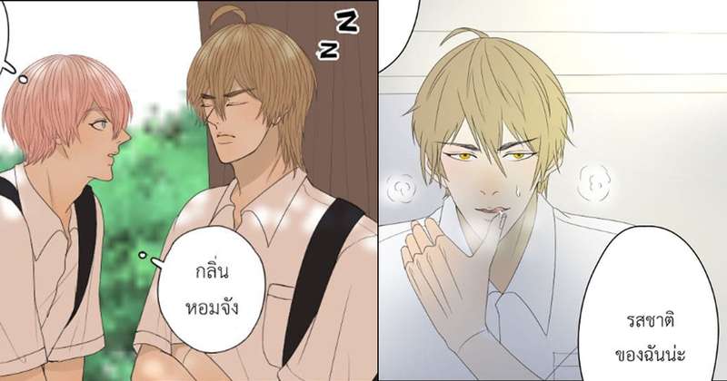 อ่านการ์ตูน The Cakeverse แปลไทย ตอนแรก - ตอนล่าสุด