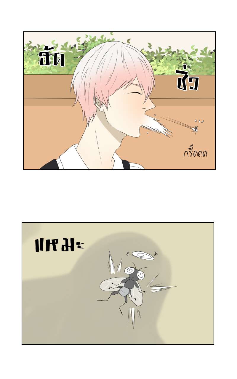 อ่านการ์ตูน The Cakeverse The Cakeverse แปลไทย ฟรี