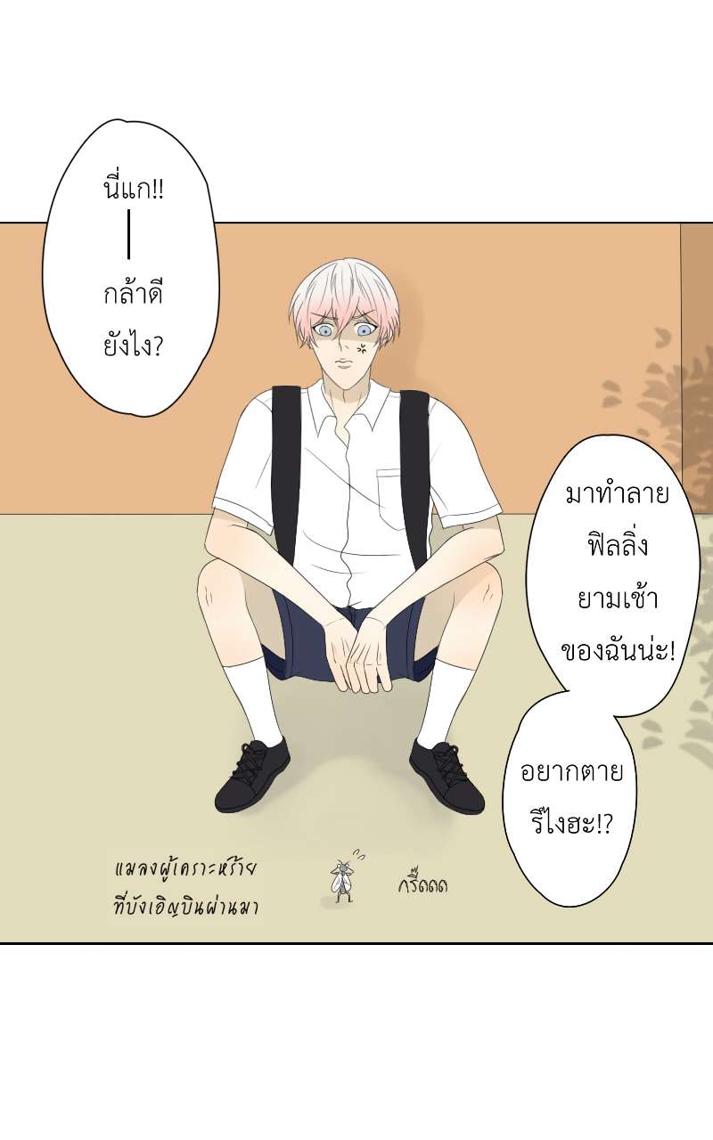 อ่านการ์ตูน The Cakeverse The Cakeverse แปลไทย ฟรี