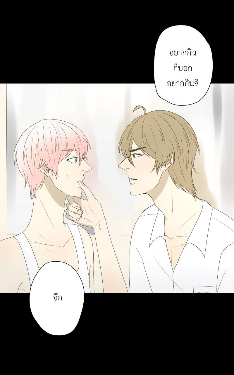 อ่านการ์ตูน The Cakeverse The Cakeverse แปลไทย ฟรี