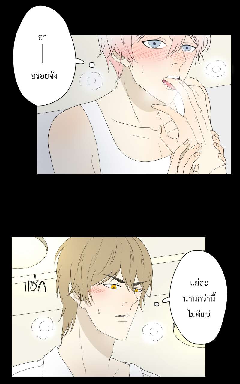 อ่านการ์ตูน The Cakeverse The Cakeverse แปลไทย ฟรี