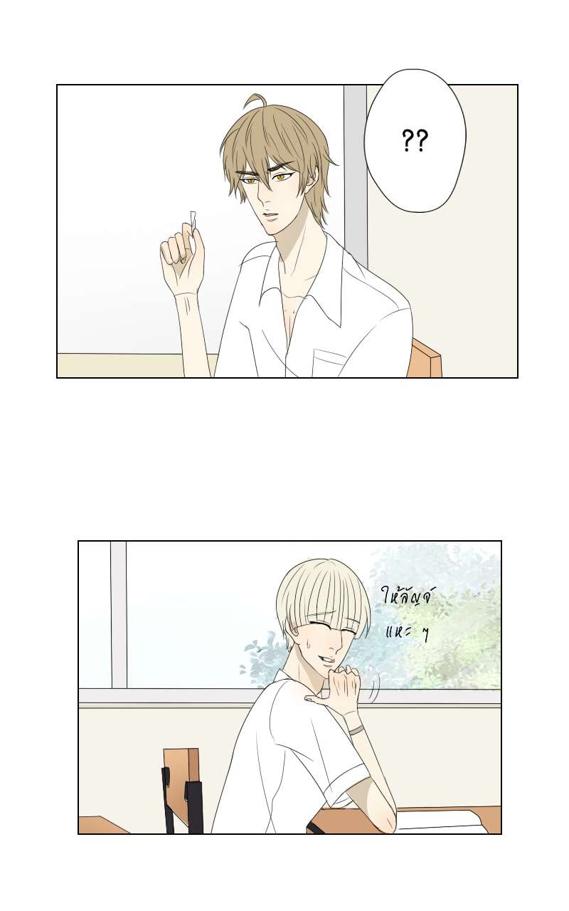 อ่านการ์ตูน The Cakeverse The Cakeverse แปลไทย ฟรี